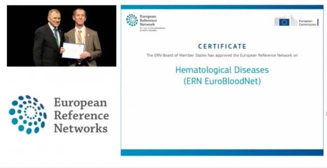 EuroBloodNet, the European Reference Network on Rare Hematological ...